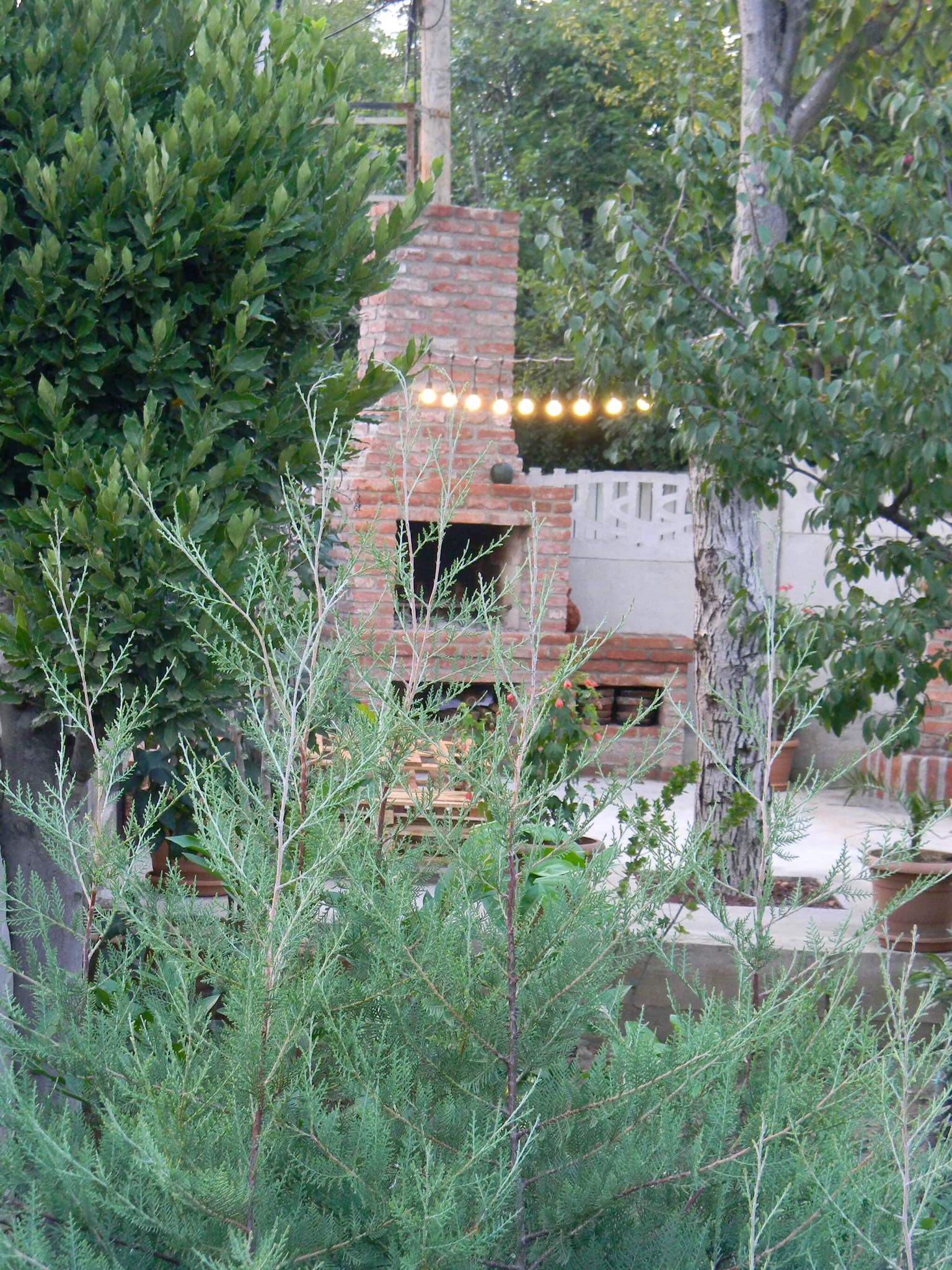 Gold Guest House